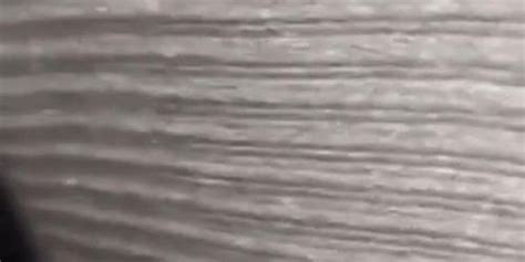 Encoxada Search TNAFLIX COM Page Encoxada Search TNAFLIX COM Page