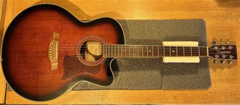 Tanglewood Guitar Repairs, Setups, Upgrades Cheltenham