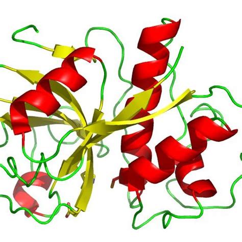 Papain Structure 63 Download Scientific Diagram