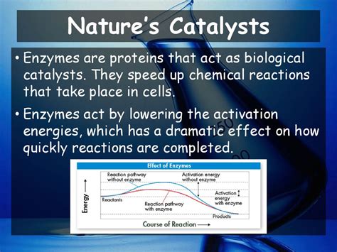Chapter 2 4 Chemical Reactions And Enzymes Ppt Download