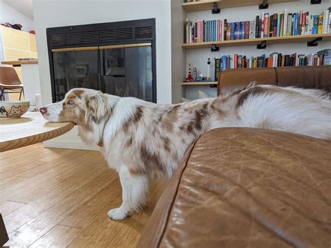 Aussie Bridge Scrolller