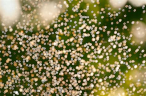 나뭇잎 부드러운 초점 Bokeh 조명과 황금 물 방울의 비의 추상 자연 흐리게 배경 자연 디 포커 싱 배경 창조적 인 디자인에 적합 합니다 0명에 대한 스톡 사진 및 기타