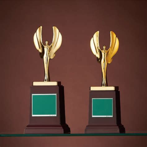 女神トロフィー【obt 02410 Aサイズ】高さ：21 5cm〈l〉《営業日13時までのご注文で翌営業日出荷》