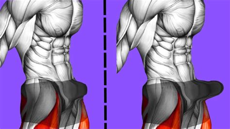 Pelvic Floor Exercise For Man Erectile Dysfunction Dont Miss It