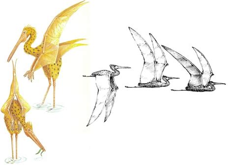 Categoryorder Pterosauria Fiction Taxonomy Wiki Fandom