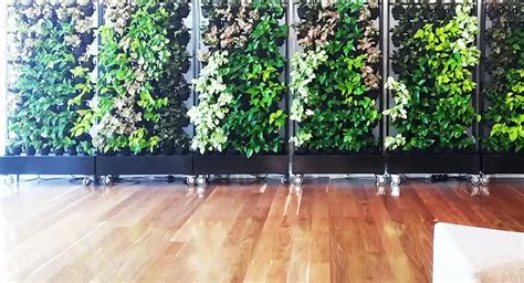 Mobile Green Wall Ambius New Zealand