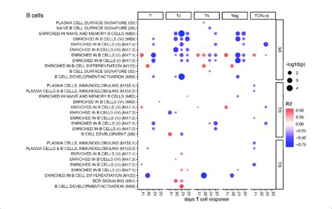 B Cell BTM Correlating With T Cell Priming Time Dependent