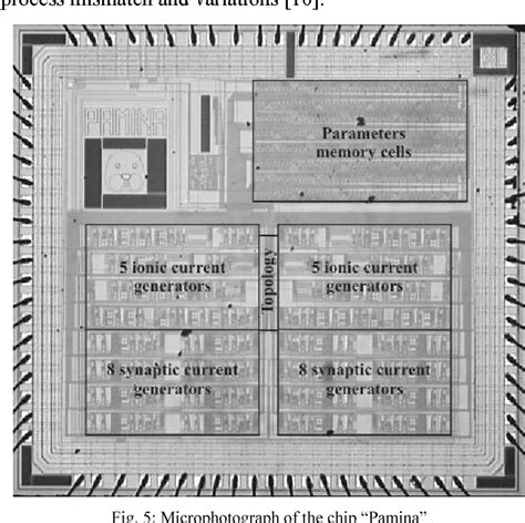 figure 5 from a conductance based silicon neuron with dynamically