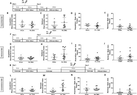 Figure 1 From Deep Brain Stimulation Of The Prelimbic Cortex Disrupts Consolidation Of Fear