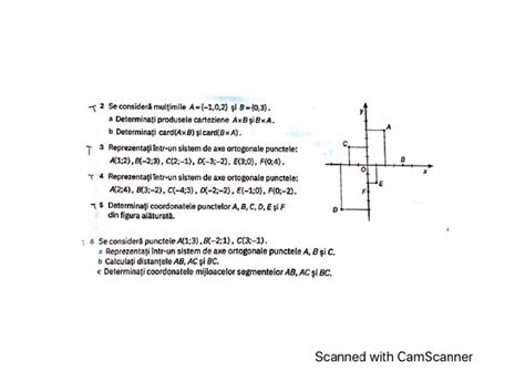 Tema Reper Cartezian Pdf