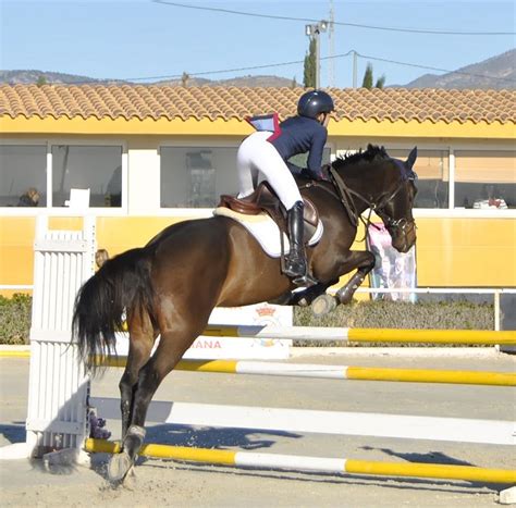 Sofia Alegre Costa And Bueu