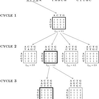 An Example Of The Algorithm For Finding Sequence Alignments Of A Fixed Download Scientific