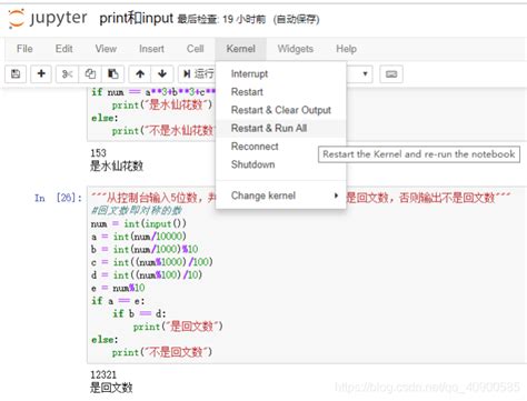jupter notebook代码无法执行，出现in[ ]的解决办法 jupyter notebook in[数字] csdn博客