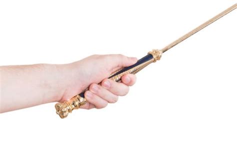 სელფის ჯოხი 50 000 დოლარად 17 ფოტო