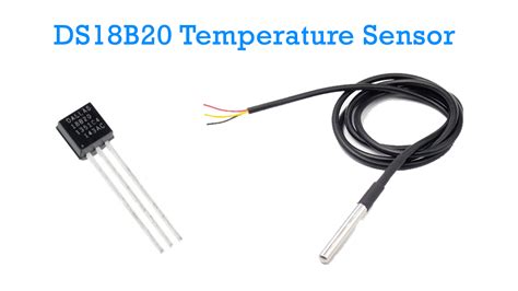 Ds18b20 Temperature Sensor Detailed Explanation And Use Cases Blog Ampheo
