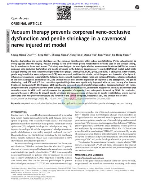 Pdf Vacuum Therapy Prevents Corporeal Veno Occlusive Dysfunction And
