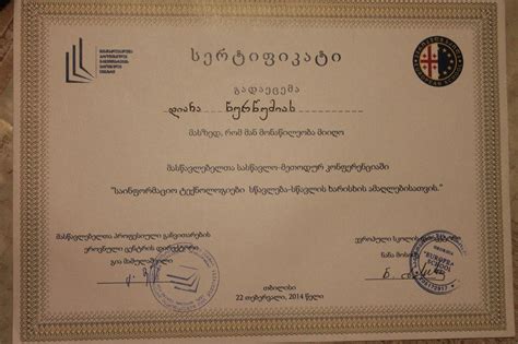 დიანა წურწუმია პორტფოლიო