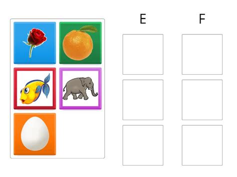 classify words group sort