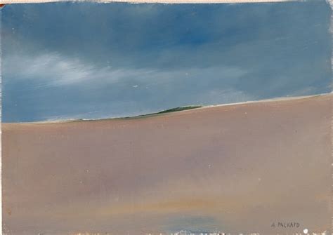 Dunes Circa 1977 By Anne Packard On Artnet