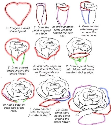 Astuces Et Id Es Pour Apprendre Comment Dessiner Une Rose Roses Drawing Flower Drawing