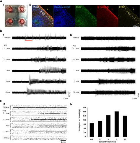 Microelectrode Array Mea Recording To Pentylenetetrazol Ptz