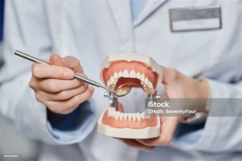 카메라에 치아 모델을 들고 있는 알아볼 수 없는 여성 치과의사의 근접 촬영 20 24세에 대한 스톡 사진 및 기타 이미지 20 24세 건강관리와 의술 교습 Istock