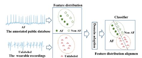 The Frame Of The Af Detector Based On Domain Adaptation Download Scientific Diagram