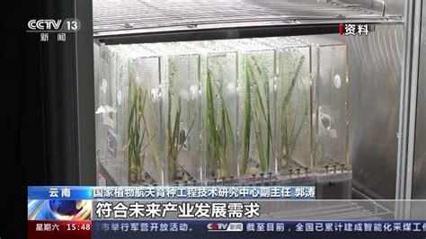 食用菌精准育种实验室