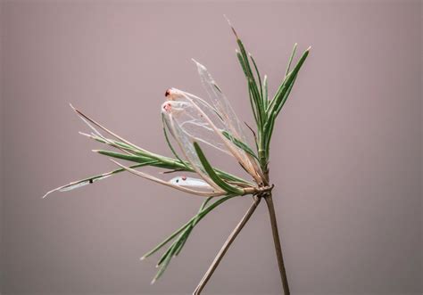 Normative Appeals → Area