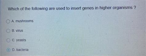 Solved A Process Where Two Complementary Strands Of DNA From Chegg