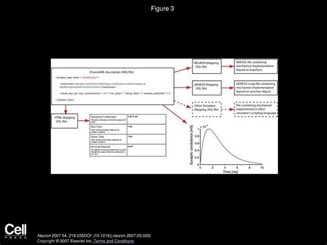 Neuroconstruct A Tool For Modeling Networks Of Neurons In 3d Space