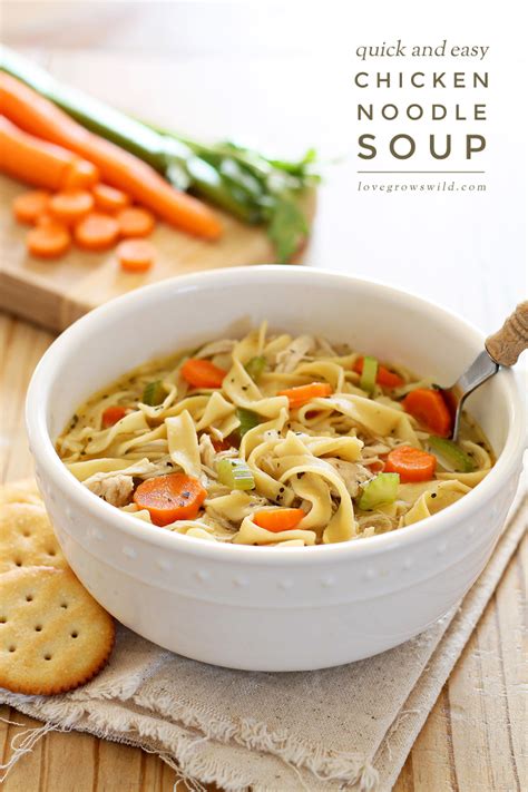Quick And Easy Chicken Noodle Soup Love Grows Wild