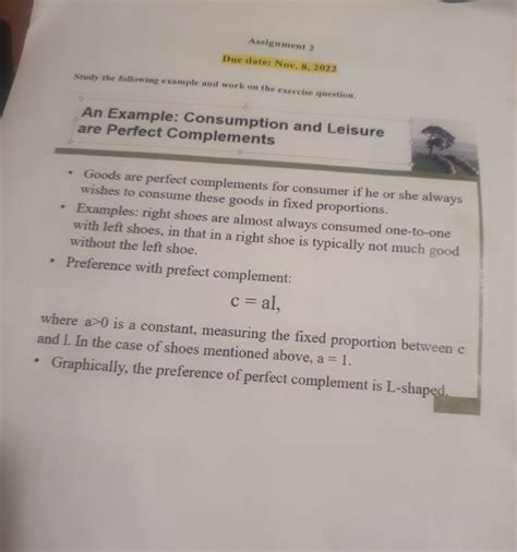 Goods Are Perfect Complements For Consumer If He Or