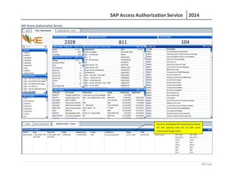 Sap Access Authorization Solution Pdf