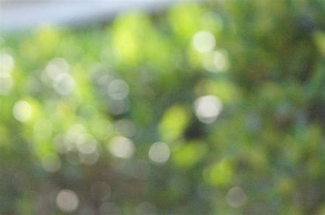 Efcs Ruins Bokeh Open Talk Forum Digital Photography Review Efcs Ruins Bokeh Open Talk Forum Digital Photography Review