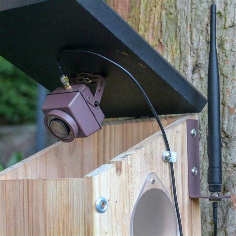 Bird Box Camera Long Range Wireless Ultimate Bundle Green Backyard