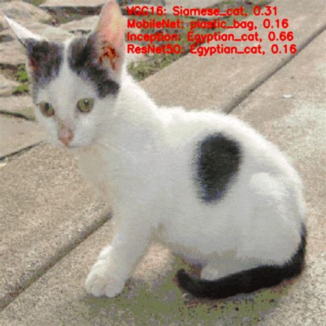 Keras Tutorial Using Pre Trained Imagenet Models 2023