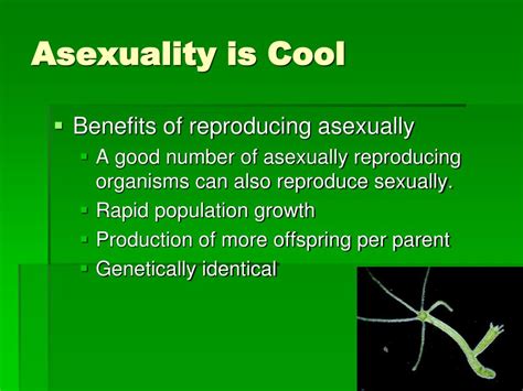 Ppt Adaptive Significance Of Sex Powerpoint Presentation Free Download Id1920600