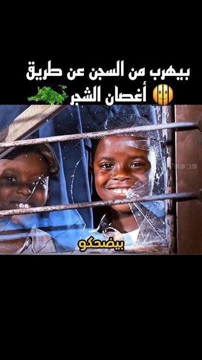 بيهرب من السجن عن طريق أغصان الشجر Shorts Youtube