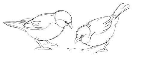 How To Draw Sparrows With A Pencil Step By Step Drawing Tutorial