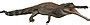 Tomistoma Wikipedia