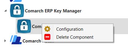 Migration Update Process Comarch ERP Standard Knowledge Base