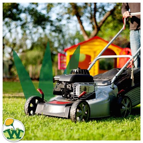 Weed Man Review Must Read This Before Buying