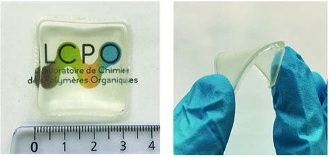 Bio Based Polycarbonate Network Table 1 Entry 1 Download Scientific Diagram