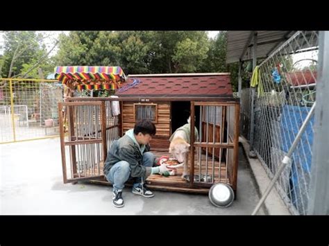 为农舍毛孩子们埋下春天希望的种子粉丝朋友带给患病希希加倍的疼惜 YouTube