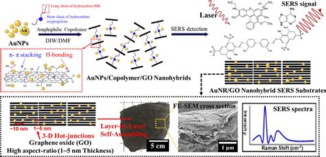Application Of Nanohybrid Substrates With Layer By Layer Self Assembling Properties To High
