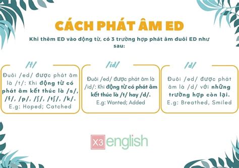 Cách phát âm ED S ES Hướng dẫn toàn diện 2023