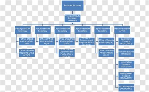Organizational Chart Business Management Enterprise Architecture