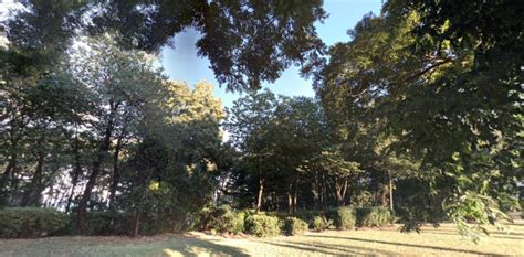 42 отзива за Д р Павел П Хрусанов Лекар в Бургас Бургас