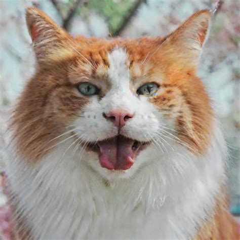 Jwu Lora Sdxl Realistic Hugging Face